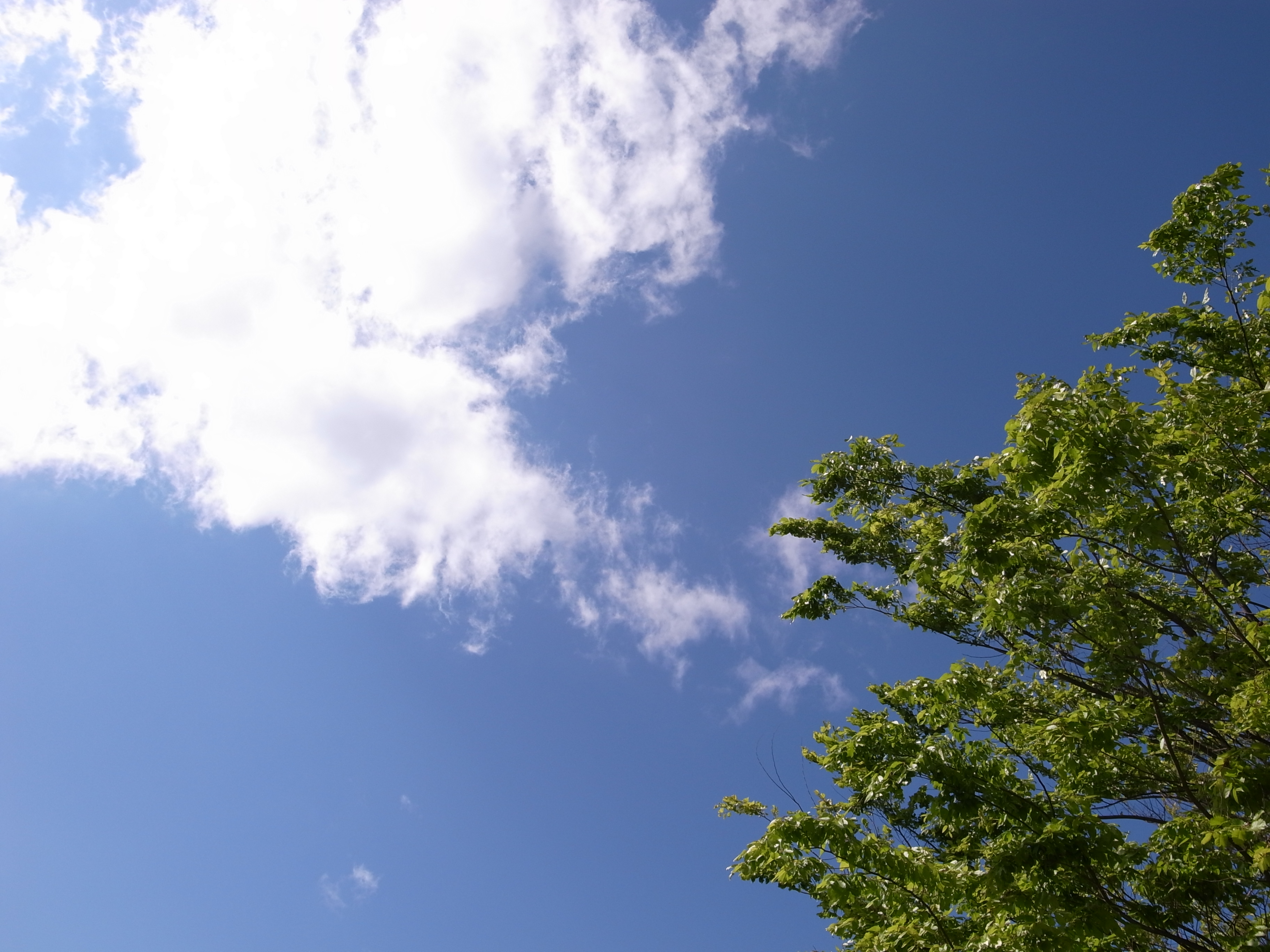 【お客様実績】30代女性がウェディングフォトに向けたダイエットと同時に腰・首の痛みや姿勢も改善 | 西永福・永福町パーソナルトレーニングジム ...